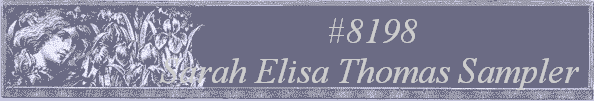 #8198 Sarah Elisa Thomas Sampler web 1